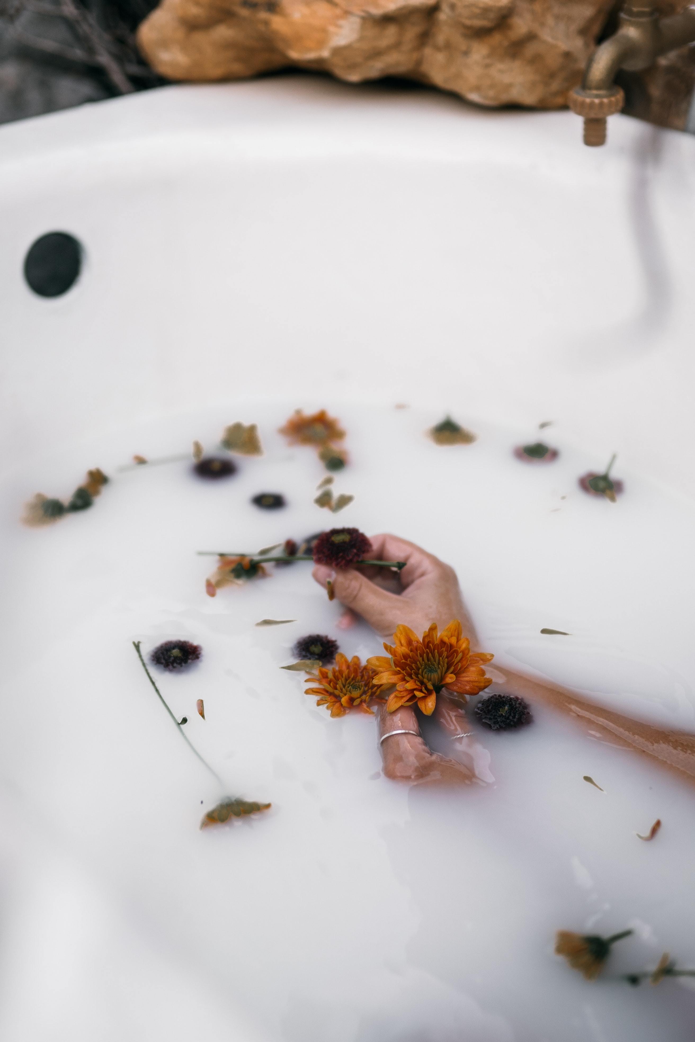 BATH + BODY – circabc