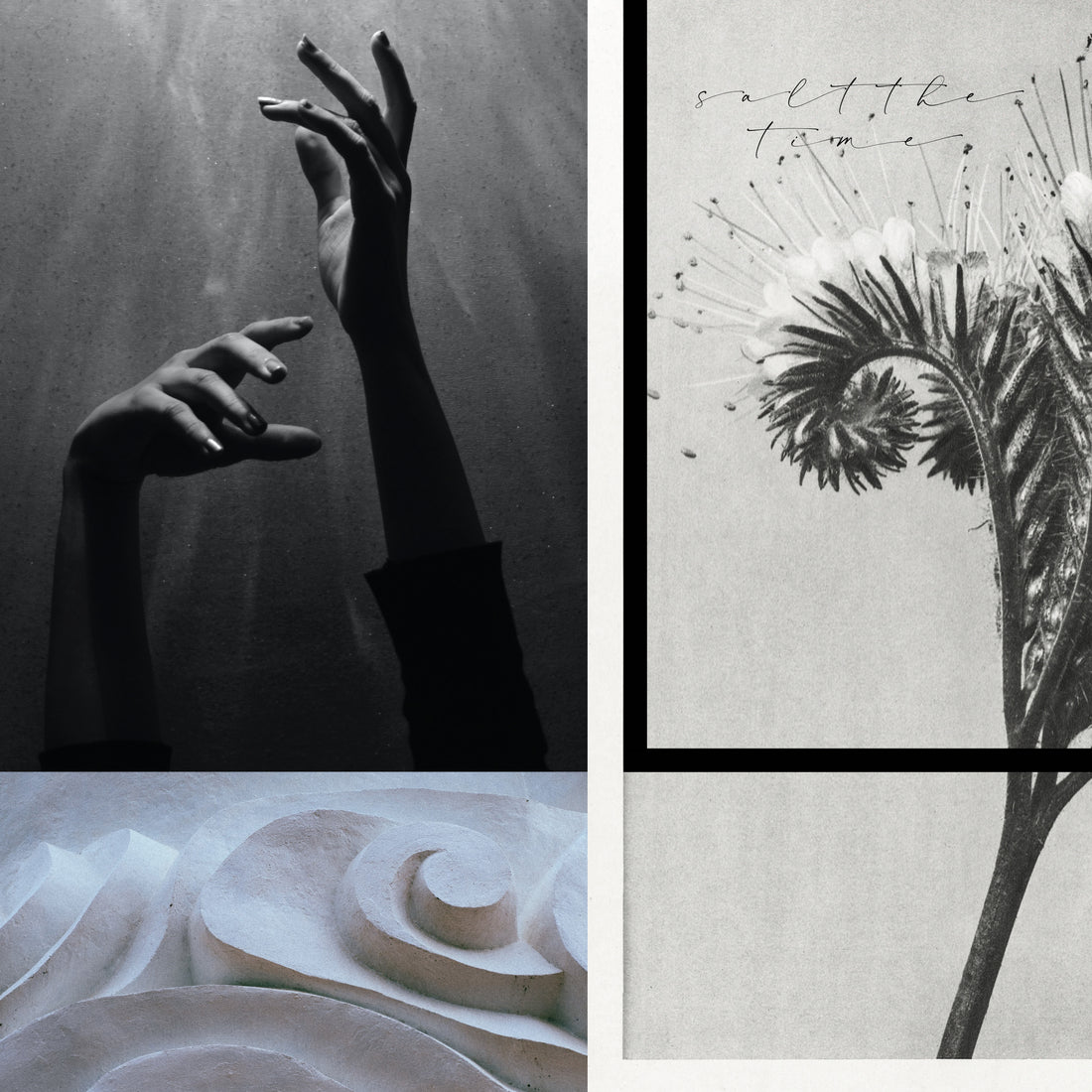 Circa B.C. – circabc