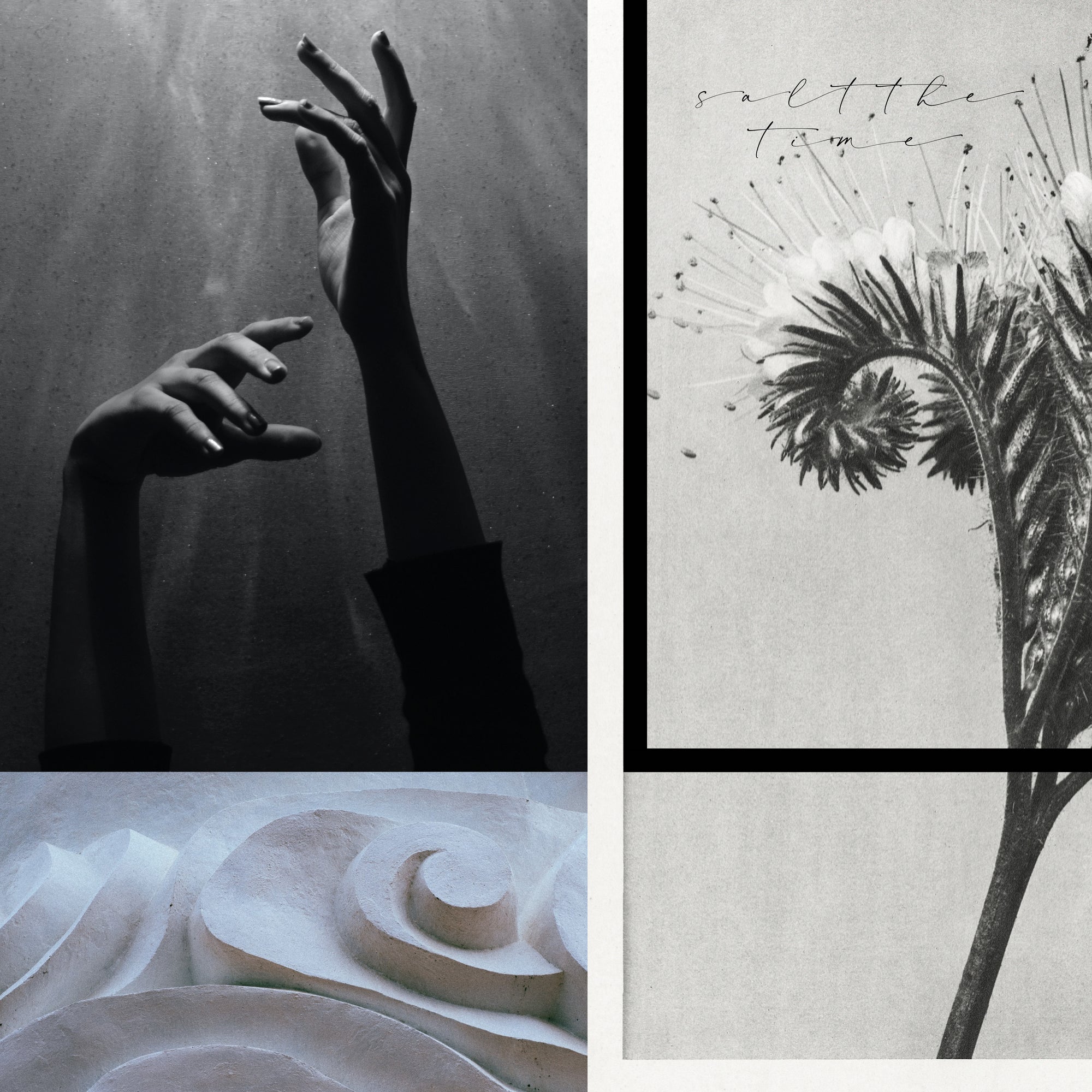 Circa B.C. – circabc