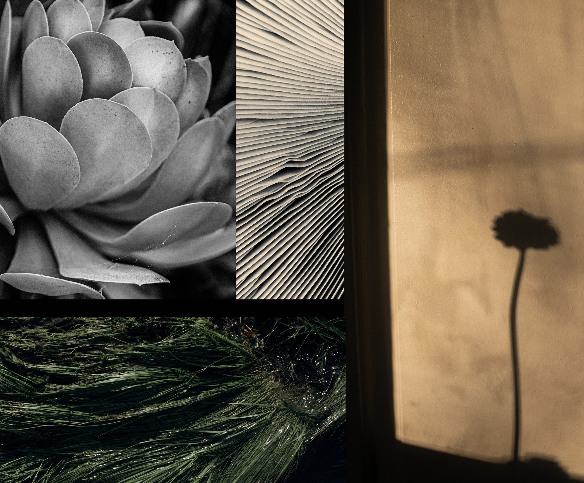 Circa B.C. – circabc