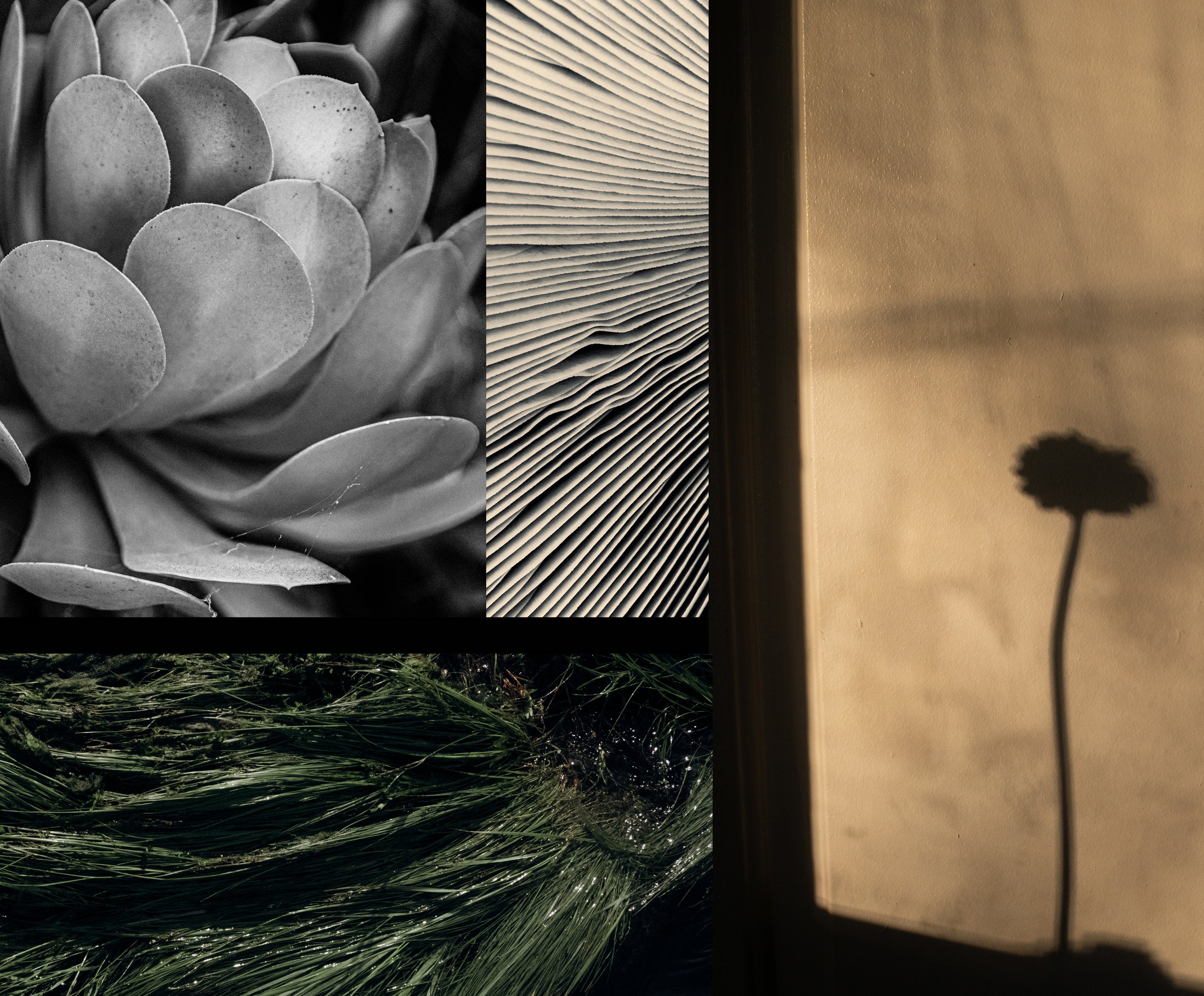 Circa B.C. – circabc