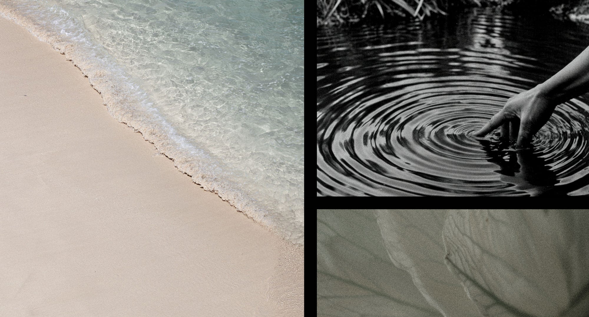 Circa B.C. – circabc