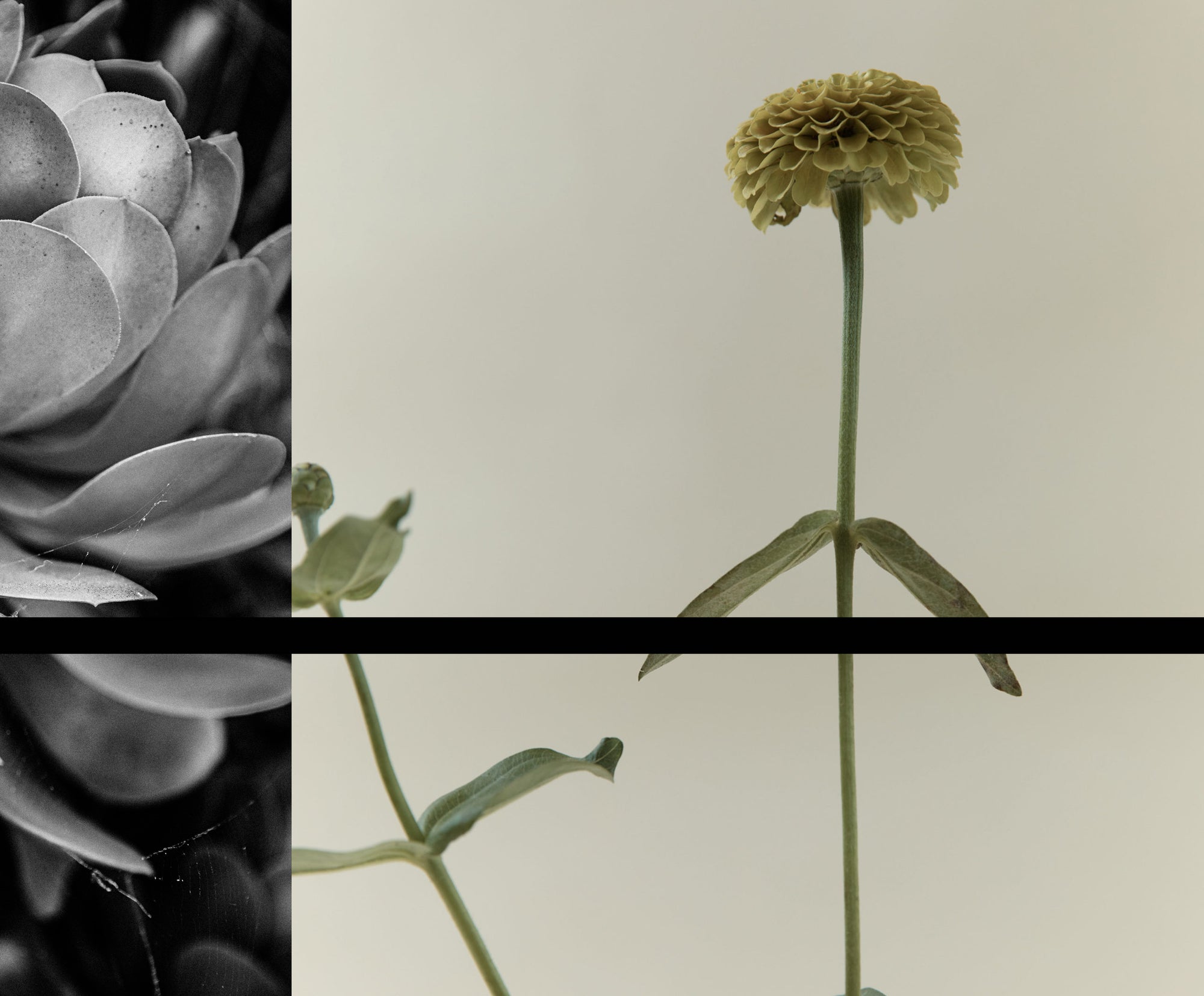 Circa B.C. – circabc